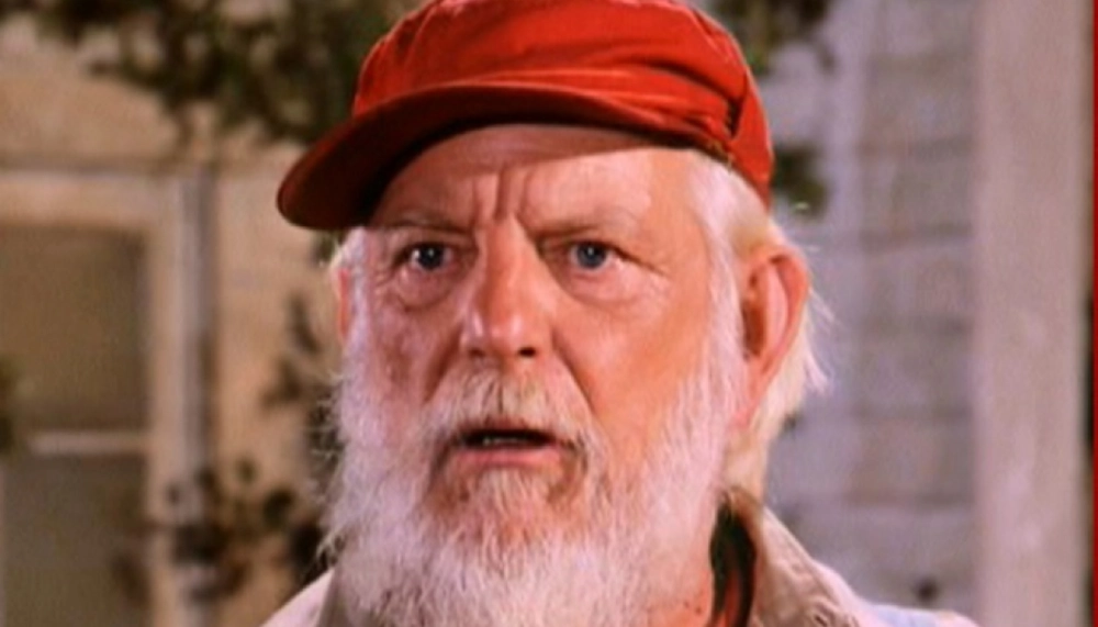 Denver Pyle Net Worth: Acting Success and Investment Savvy - Next Voice ...